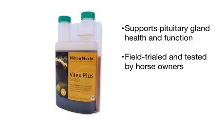 Vitex Plus Gold
