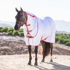 Horse Fly Sheets - SmartPak Equine