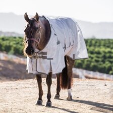Horse Fly Sheets - SmartPak Equine