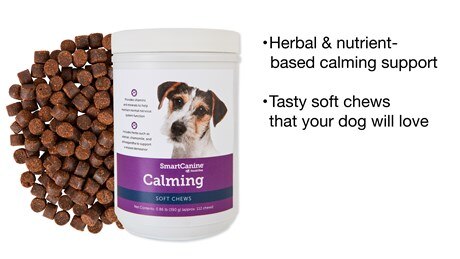 SmartCanine™ Calming Soft Chews