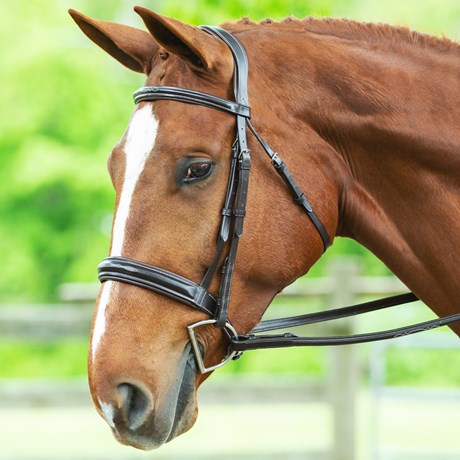 Wellfleet® Contoured Hunter Bridle by SmartPak