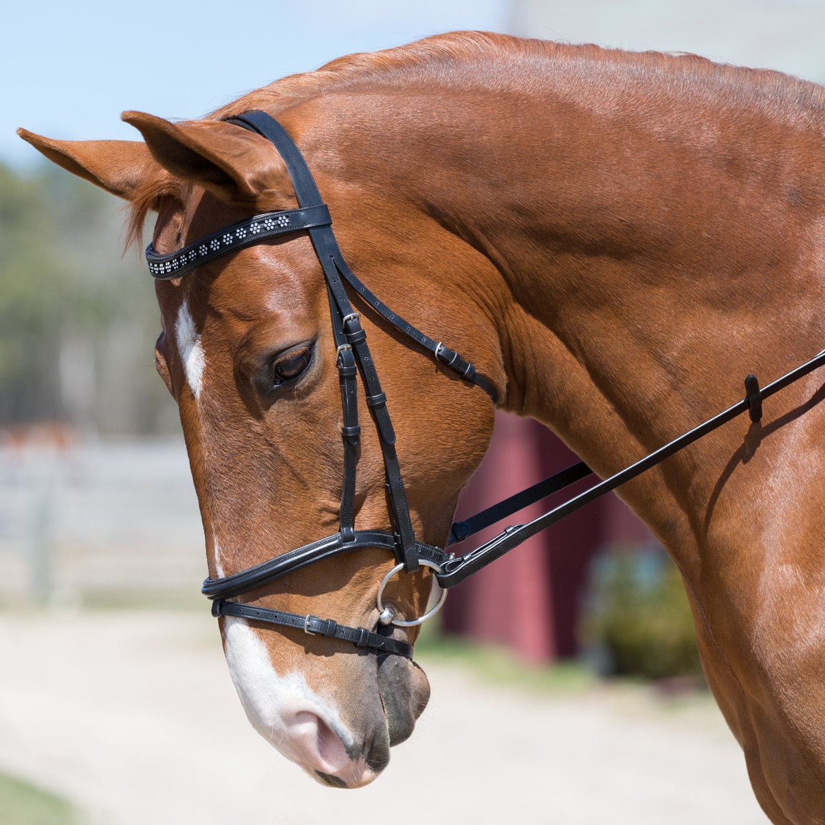 Plymouth® Flower Dressage Bridle by SmartPak