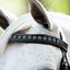 Plymouth® Flower Dressage Bridle by SmartPak