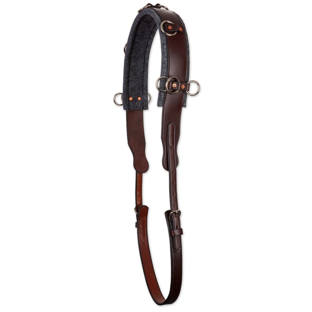 Tory Leather Training Surcingle