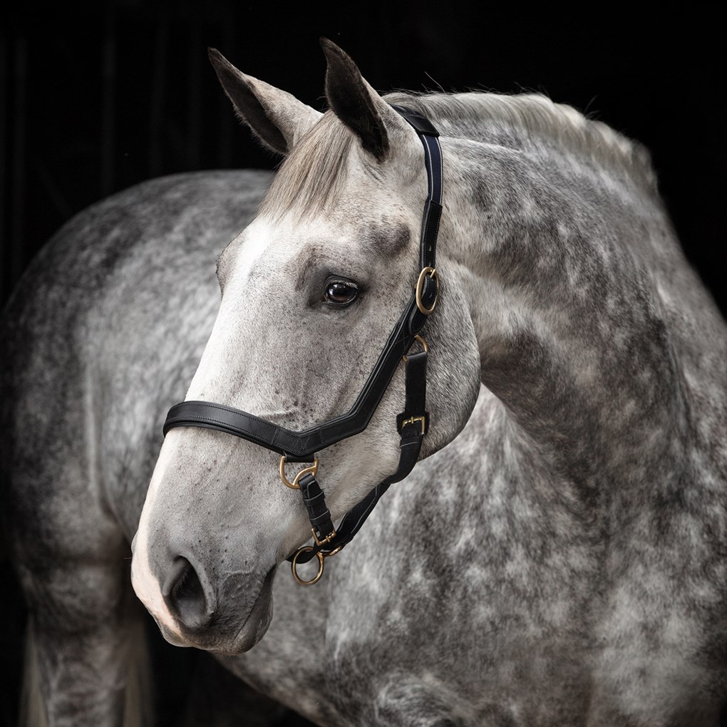 Rambo® Micklem® Halter