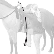 Stirrup Irons & Stirrup Leathers - Horse Tack, Supplies and Equipment ...