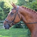 Plymouth® Flower Dressage Bridle by SmartPak