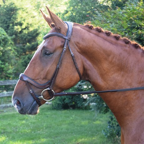 Red Barn Arena Bridle, Snaffle/Flash