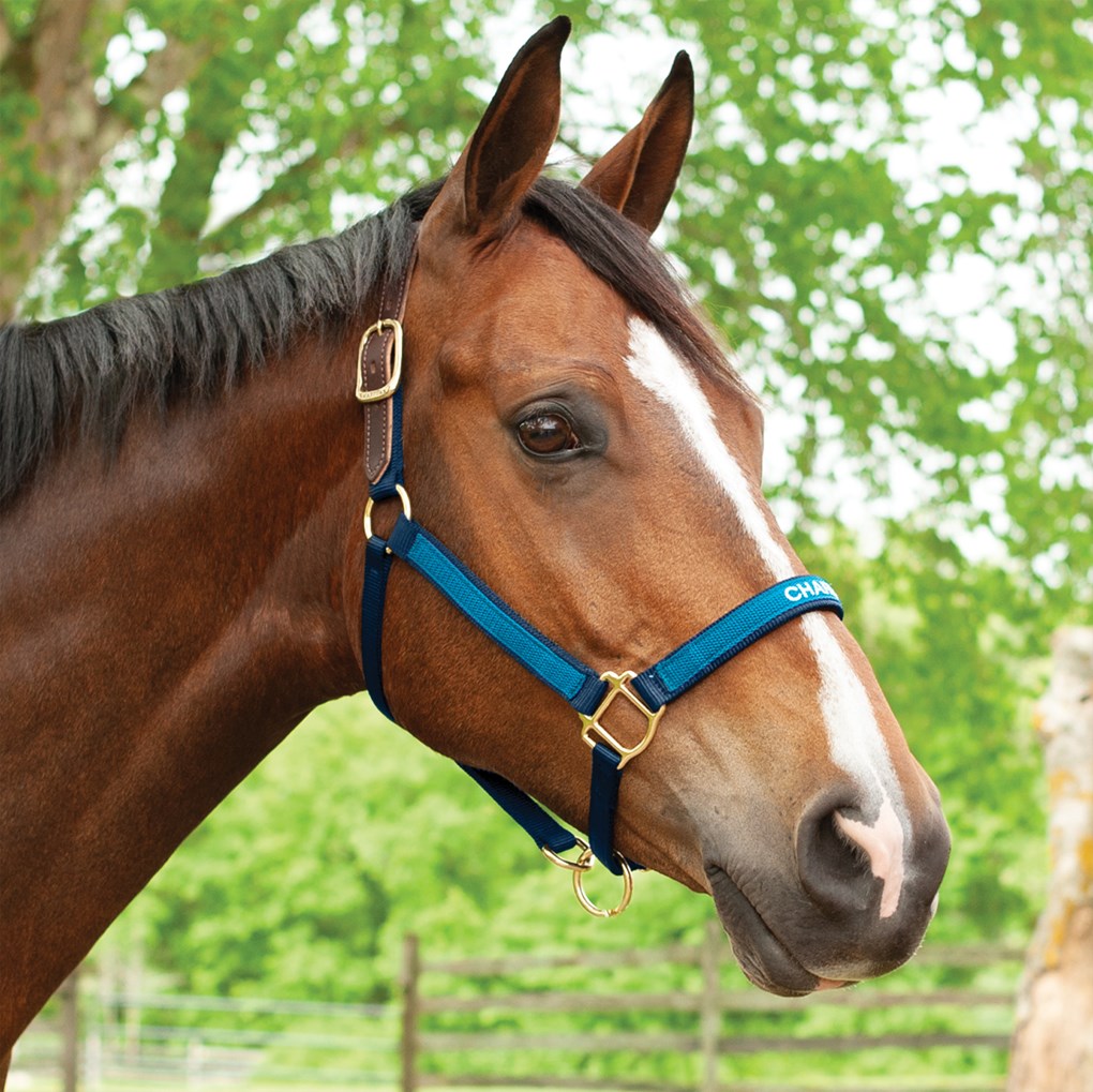 SmartPak Custom Overlay Breakaway Halter