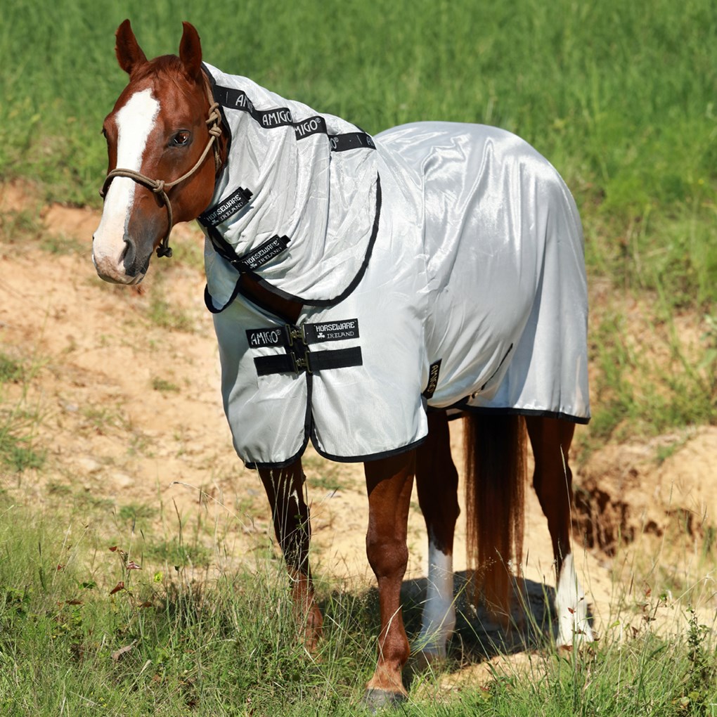 Amigo® Stock Horse Bug Rug Plus Fly Sheet