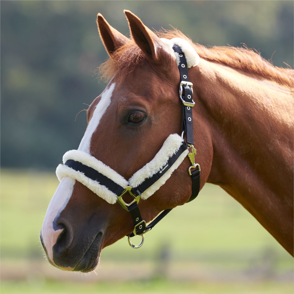 SmartPak Deluxe Removable Fleece Lined Breakaway Halter
