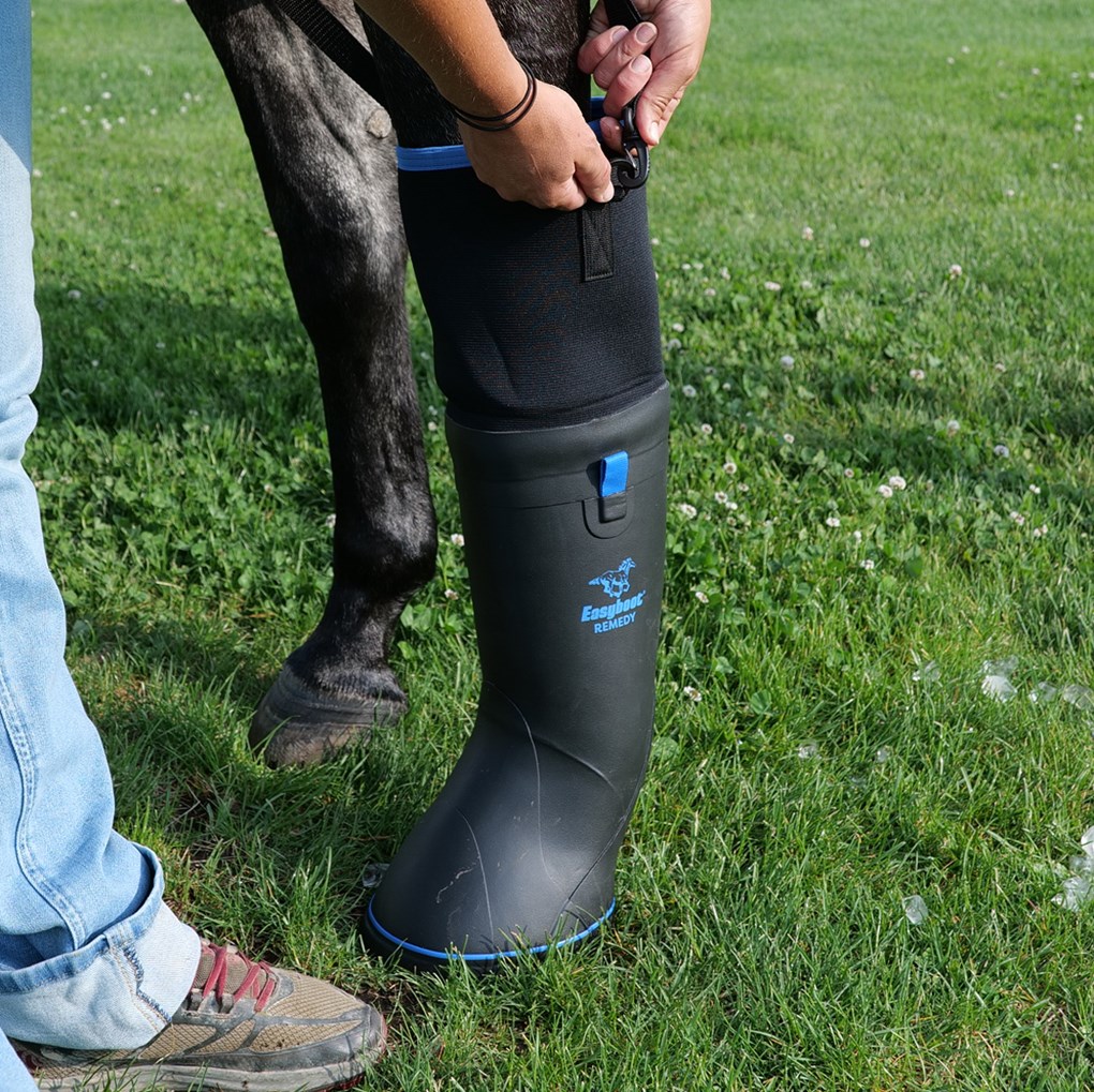 EasyBoot Ultimate Remedy