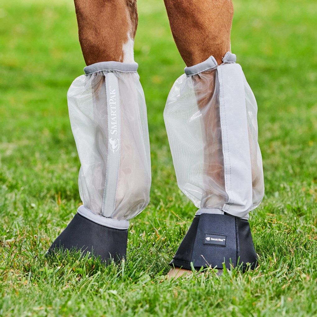 SmartPak Deluxe Combo Fly and Bell Boots