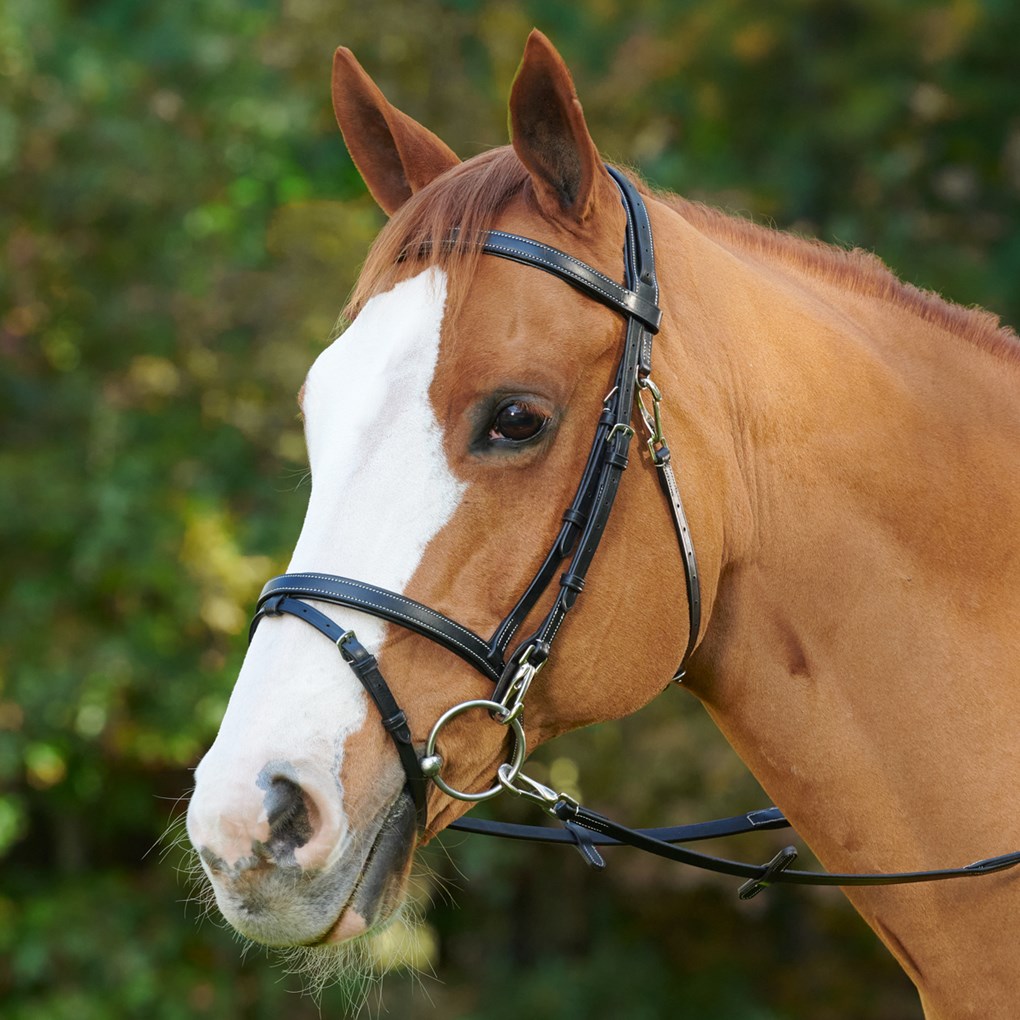 SmartPak Leather Training Bridle