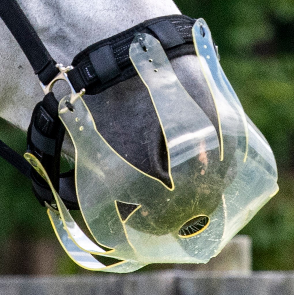 Flexible Filly Grazing Muzzle
